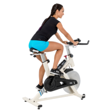 SB250 Recumbent Bike | XTERRA Fitness | Home Exercise Bikes